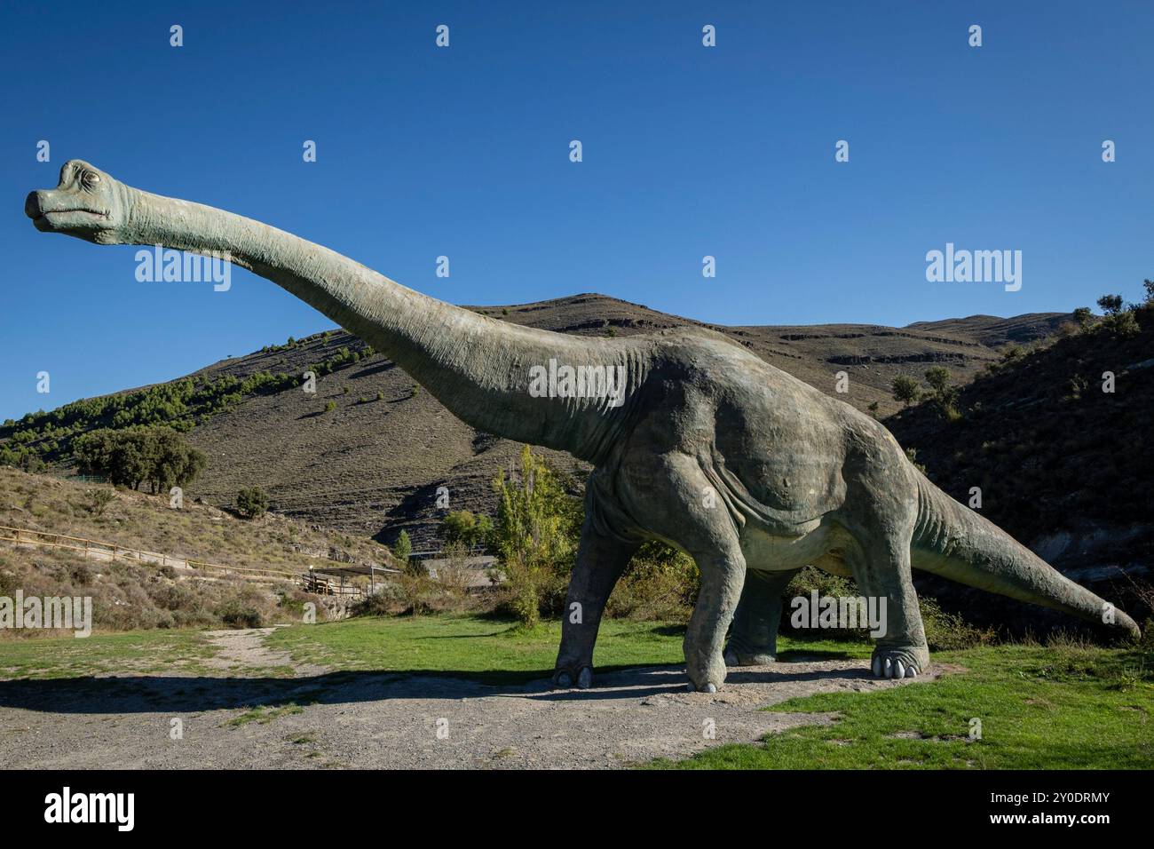 Brachiosaurus, life-size reproduction, Brachiosaurus altithorax ...
