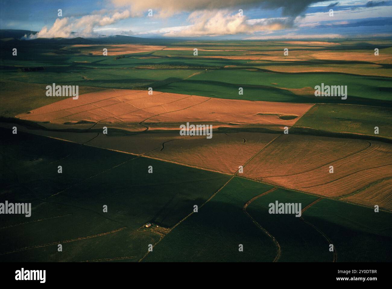 Aerial of wheat fields on big farms on the northern slopes of Mt. Kenya ...
