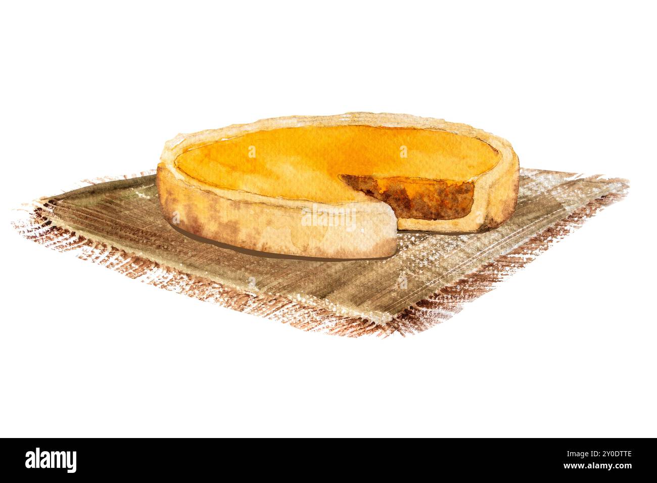 Watercolor illustration of pumpkin pie. Hand drawn composition with pie ...
