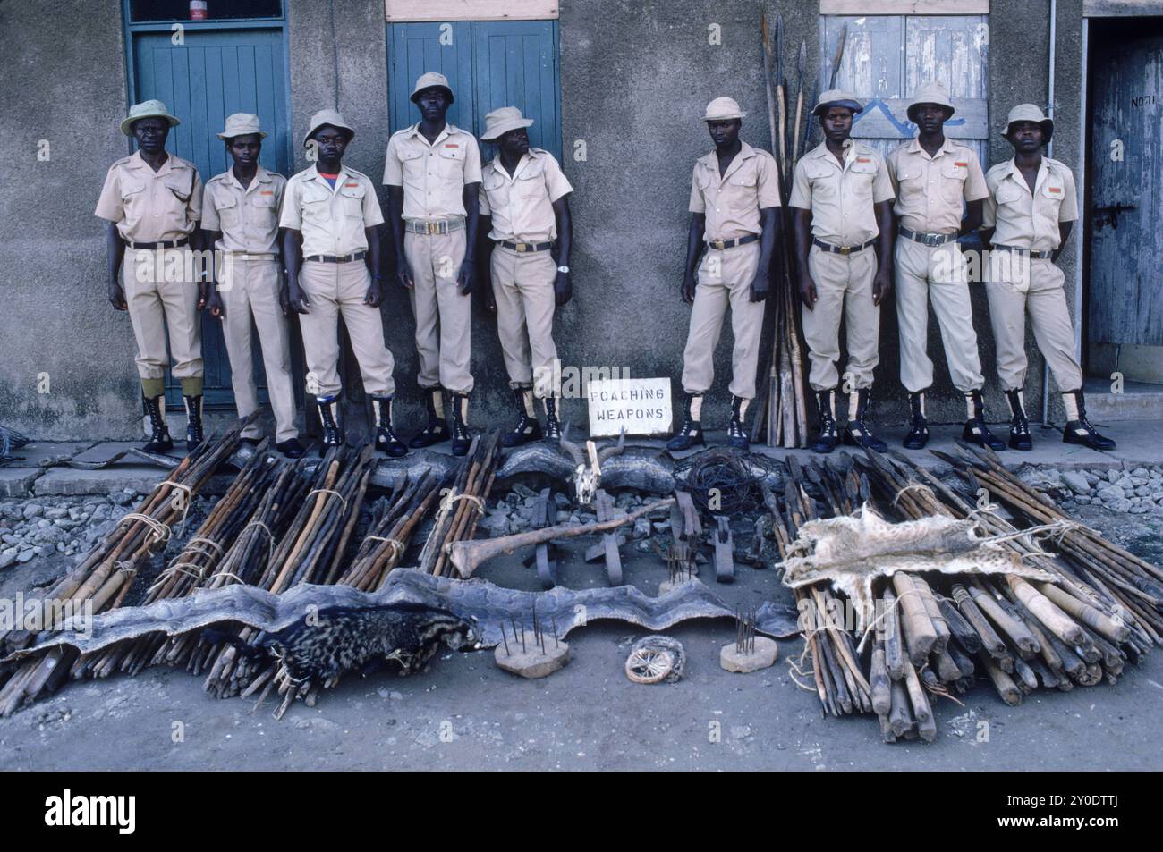 Park rangers with display of poaching weapons they have confiscated ...