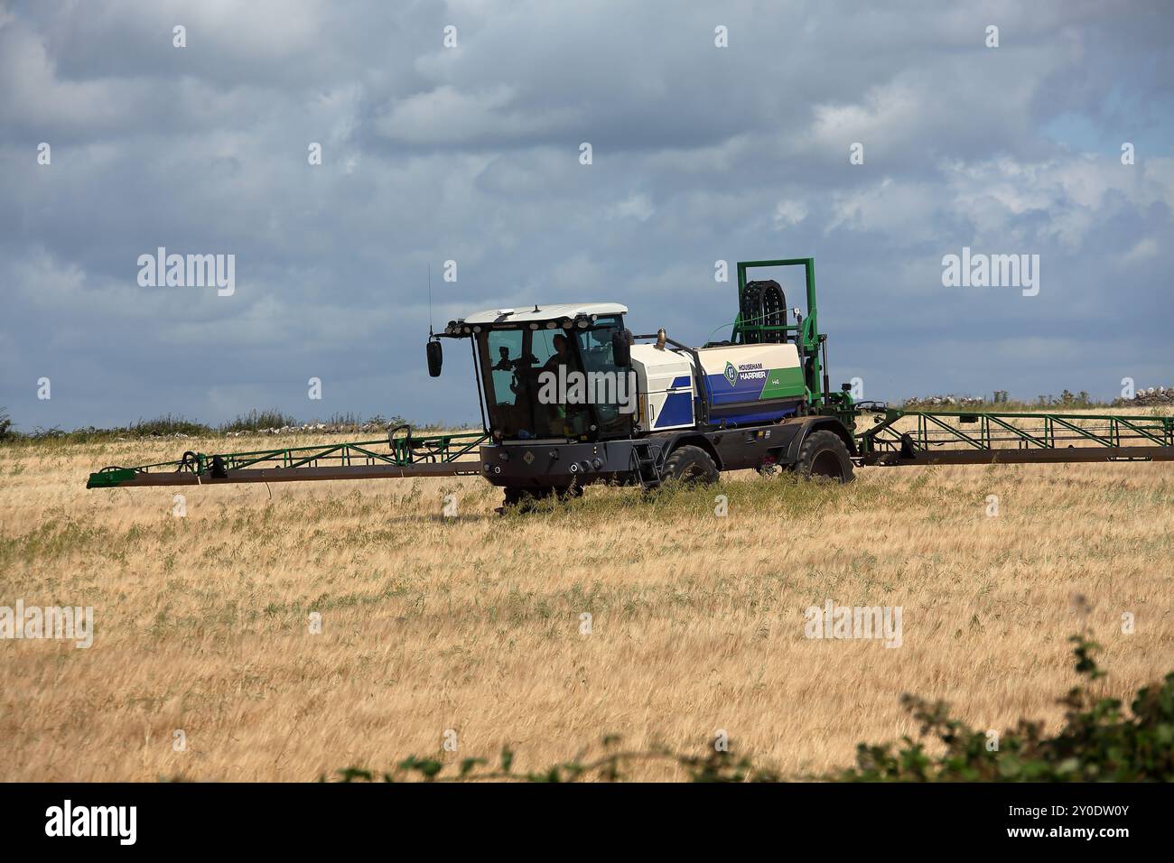 Househam harrier hi-res stock photography and images - Alamy