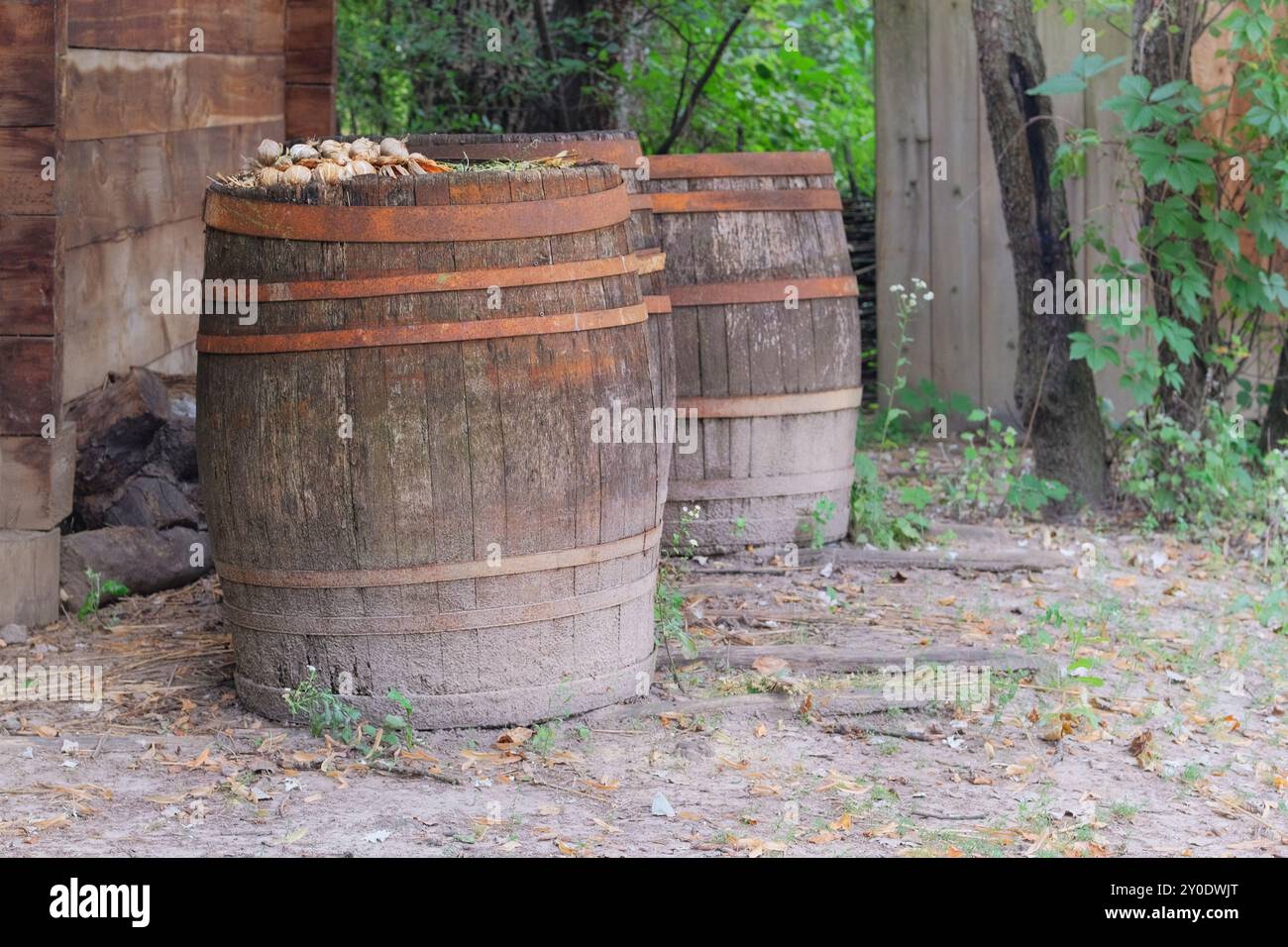 Wooden barrels with metal hoops. Countryside Stock Photo - Alamy