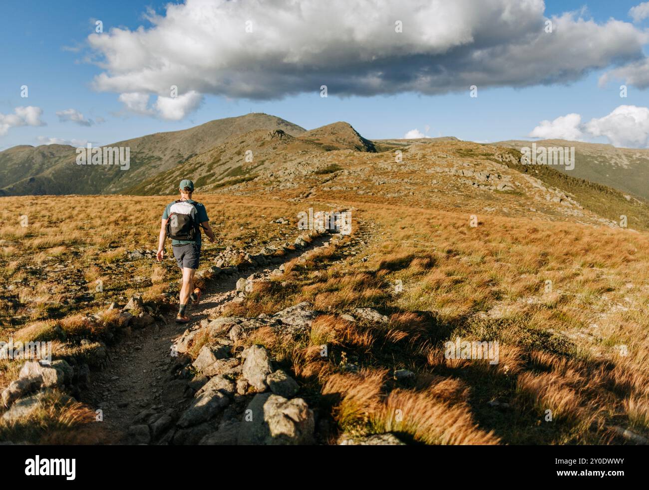 fit male hikes along path above treeline in New Hampshire mountains ...