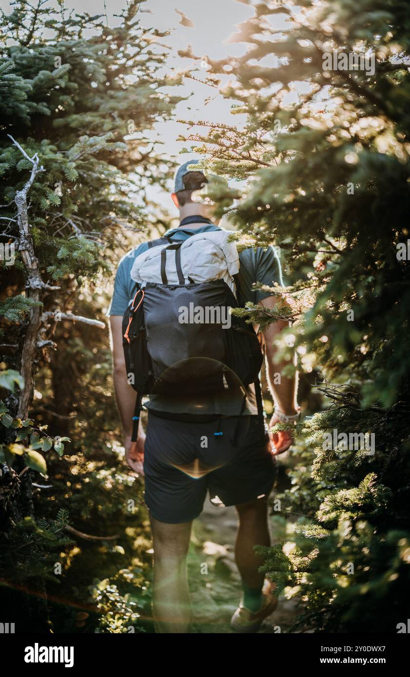 Male athlete running through forest hi-res stock photography and images ...