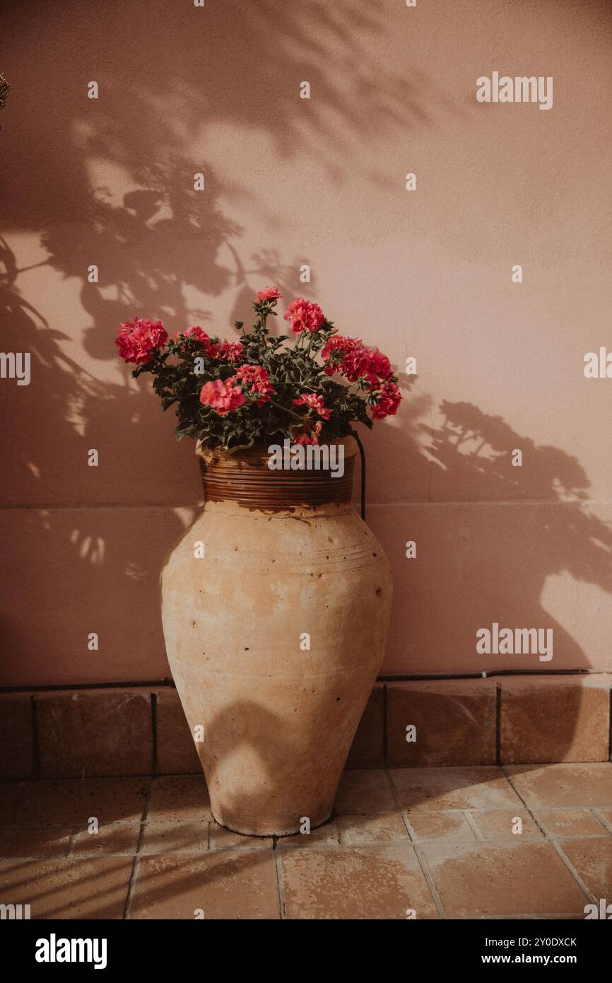 Flowers terracotta pot hi-res stock photography and images - Alamy