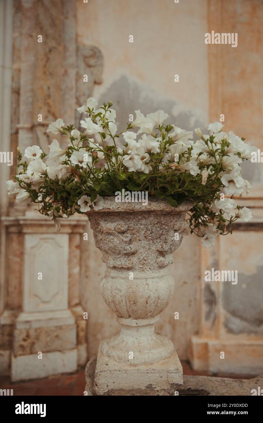Elegant Stone Planter with White Flowers in a Rustic Setting Stock ...