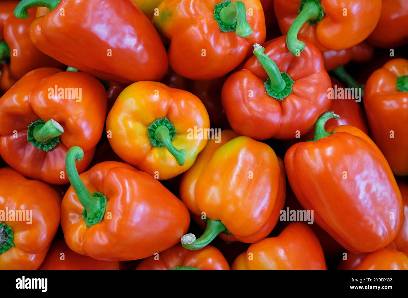 Ingredient display hi-res stock photography and images - Alamy