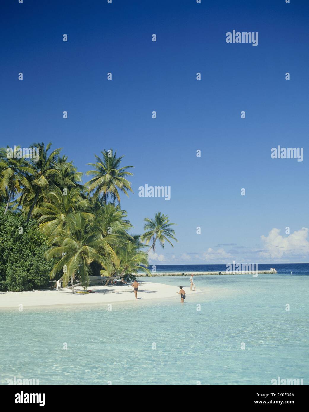 Foreign trees hi-res stock photography and images - Alamy