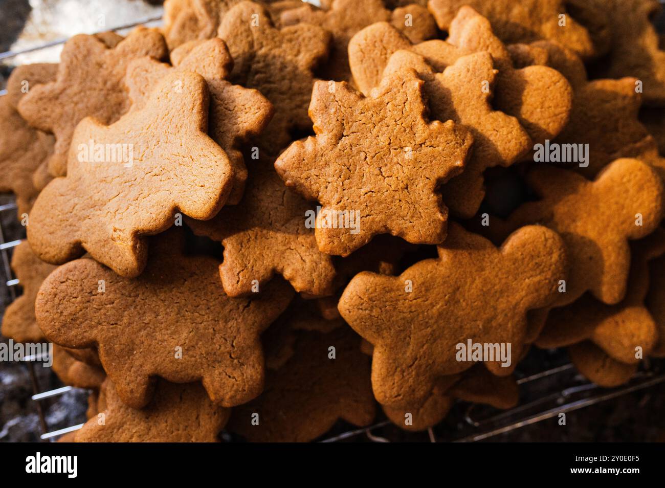 A stack of freshly baked gingerbread cookies cooling on a rack Stock ...