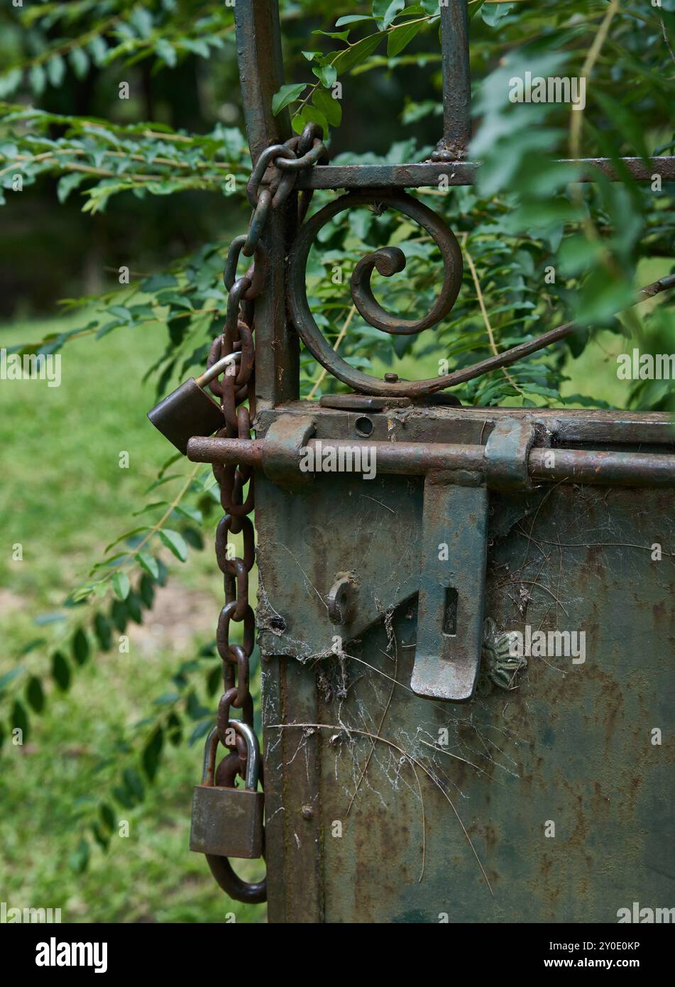 old gate of a steel in front of a grave in a cemetery Stock Photo - Alamy