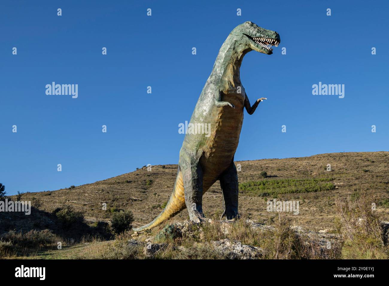 Tarbosaurus, Tarbosaurus bataar, natural-size reproduction ...
