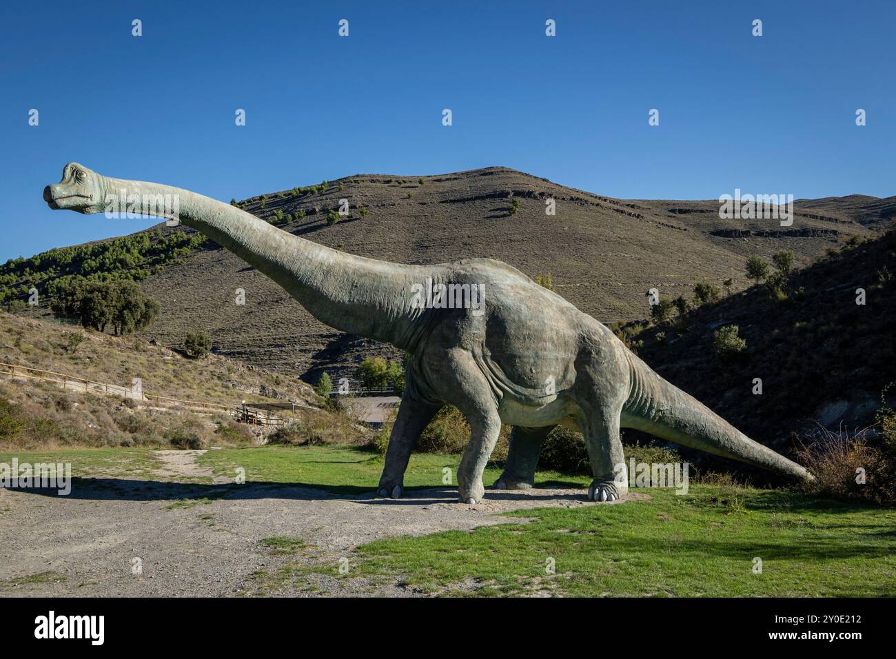 Brachiosaurus, life-size reproduction, Brachiosaurus altithorax ...