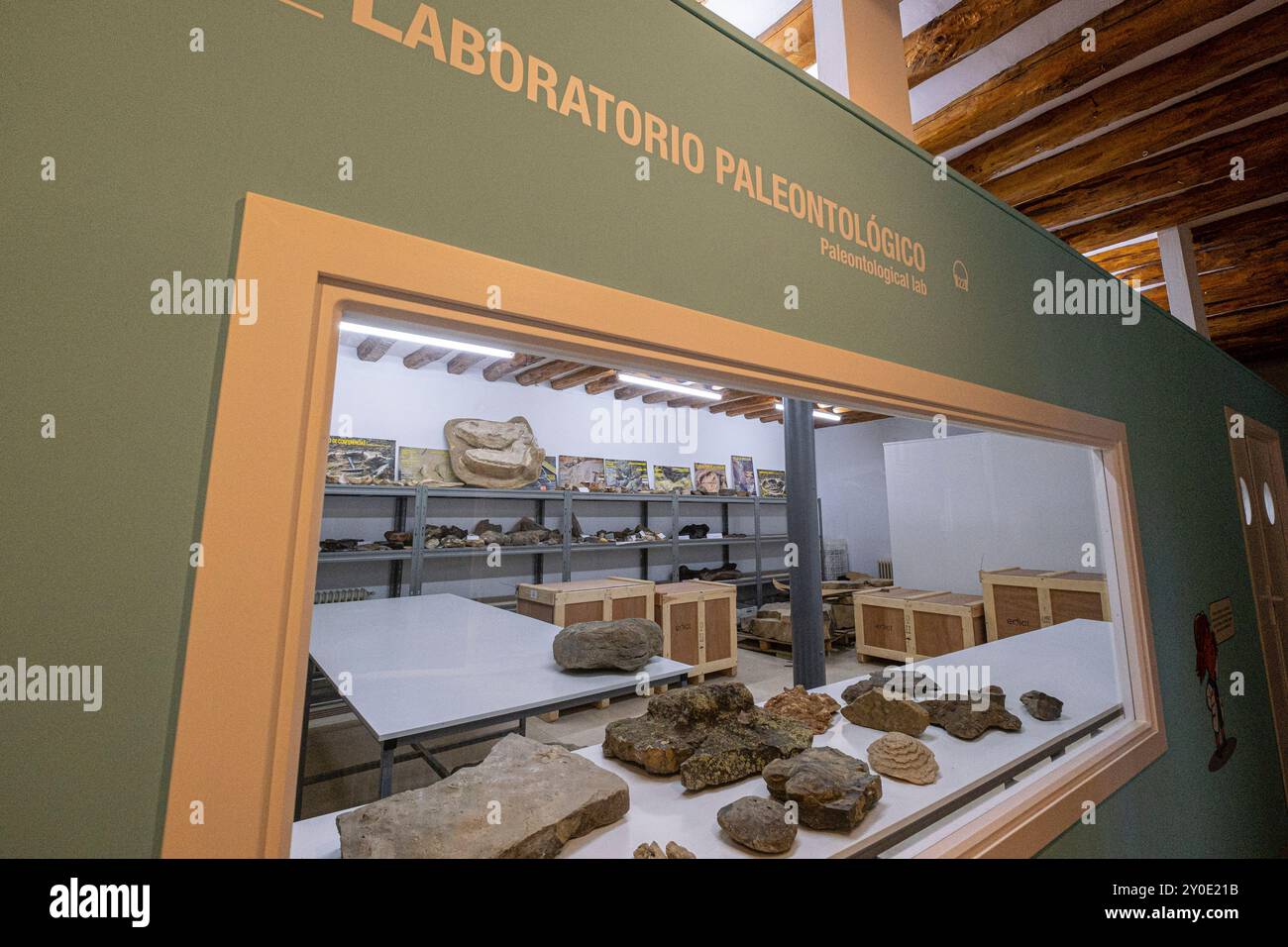 Laboratory, Paleontological Center, Enciso, La Rioja, Spain, Europe ...