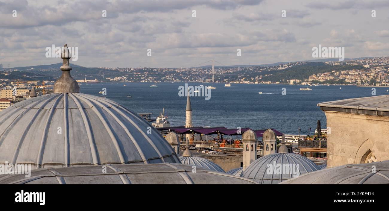 Explore a stunning panoramic vista of the Bosphorus strait framed by ...