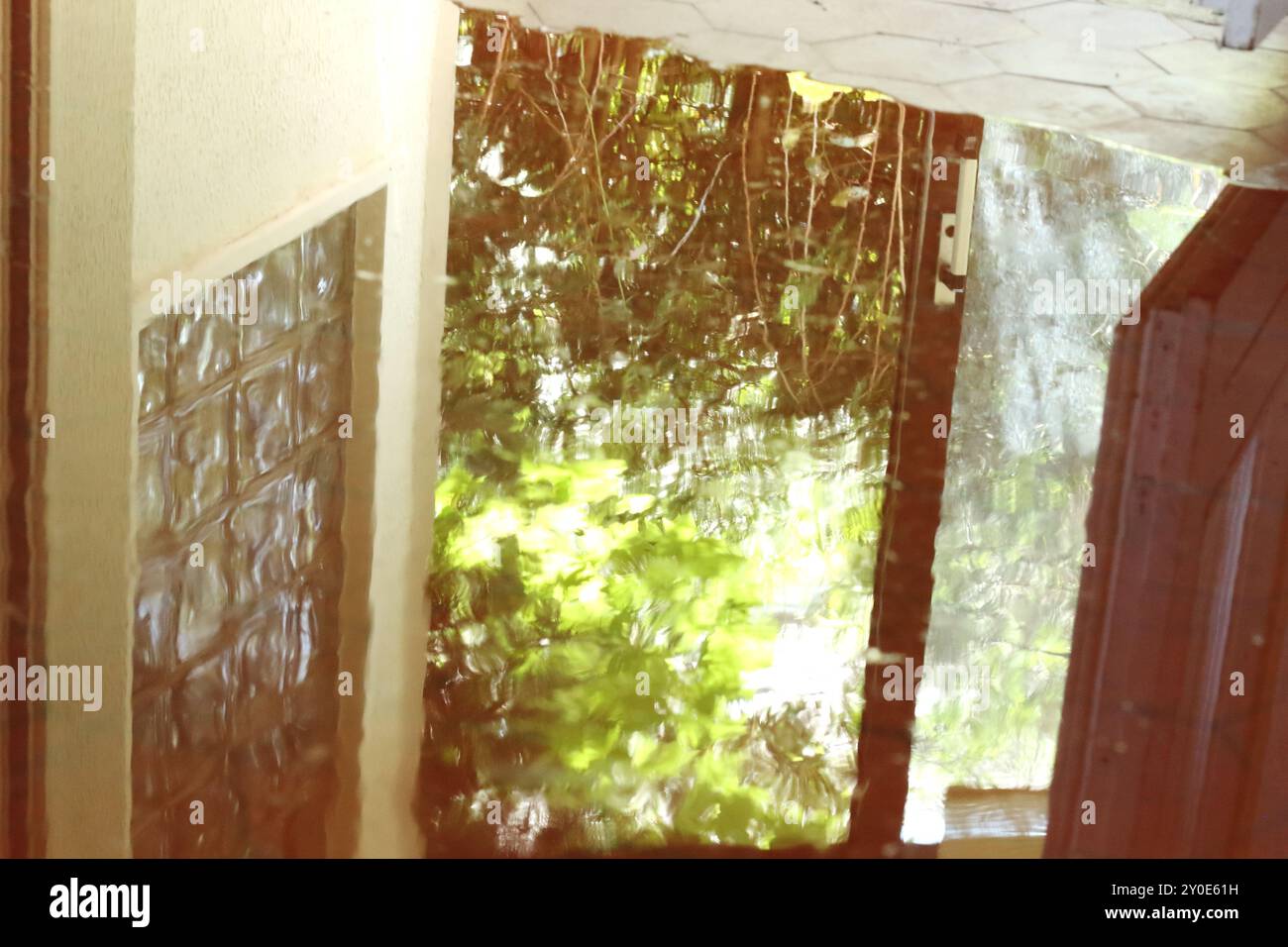 An abstract shot capturing the soft reflection of lush greenery in a ...