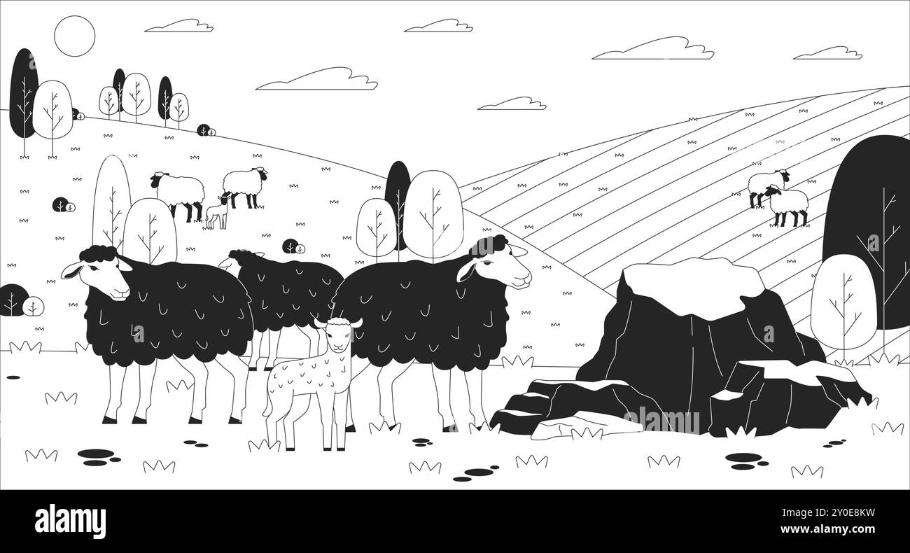 Sheep herd grazing on hilly pastureland black and white line ...