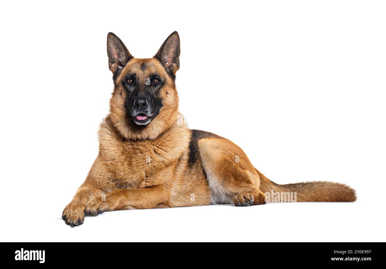 Lyng Cut Out Stock Images & Pictures - Alamy