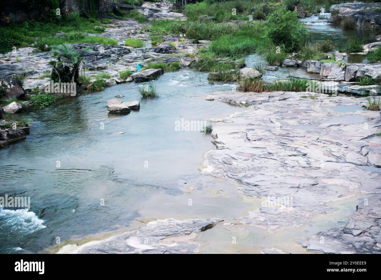 Rich ecological setting hi-res stock photography and images - Alamy