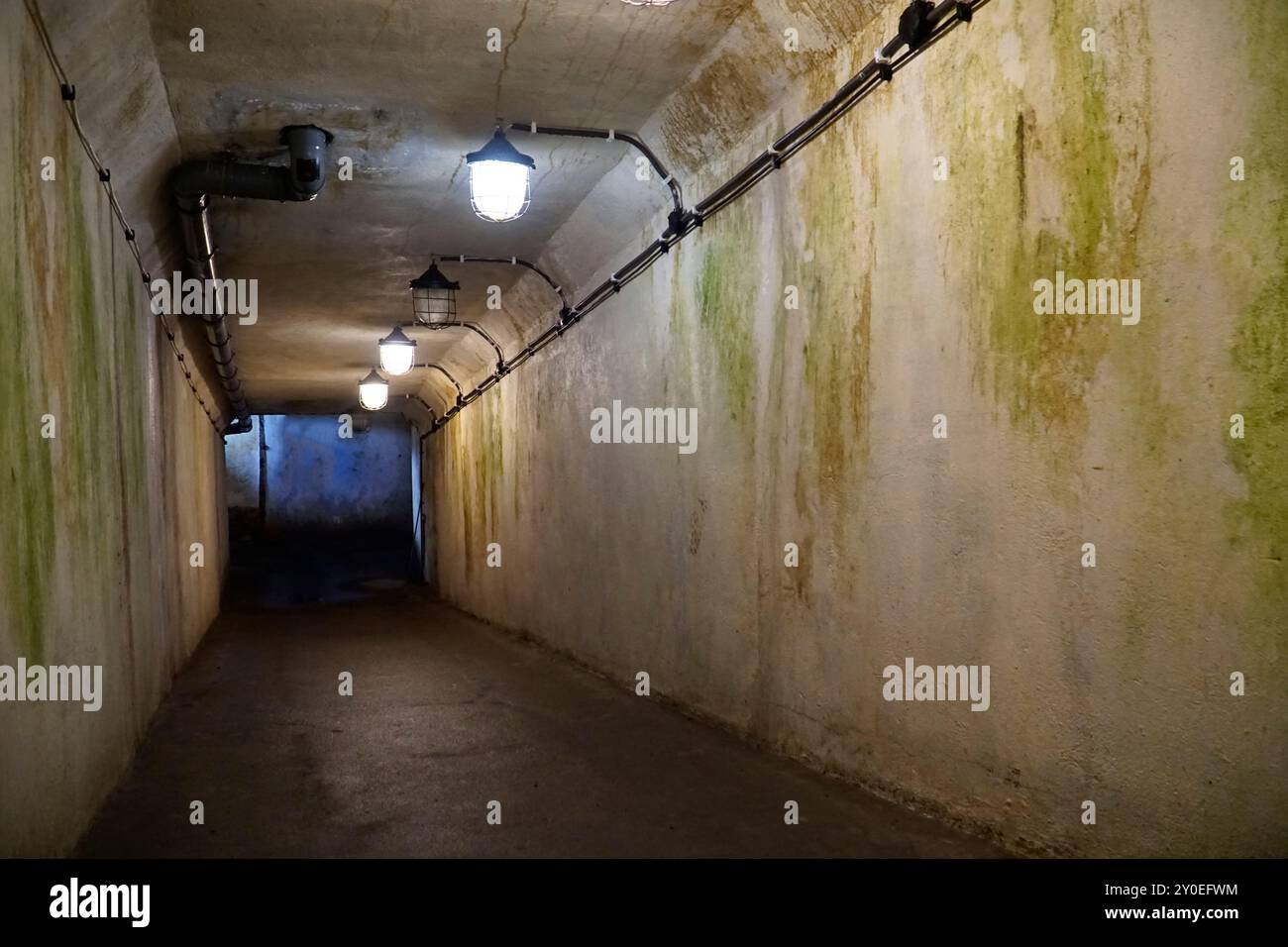Ludwikowice Klodzkie, Poland - August 10th, 2024 - Underground tunnels ...