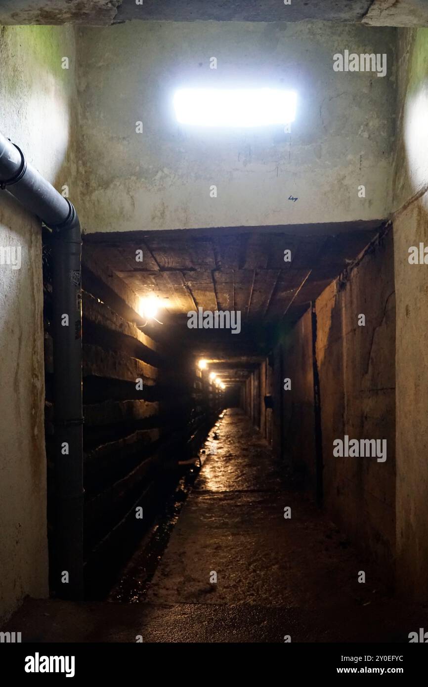 Ludwikowice Klodzkie, Poland - August 10th, 2024 - Underground tunnels ...