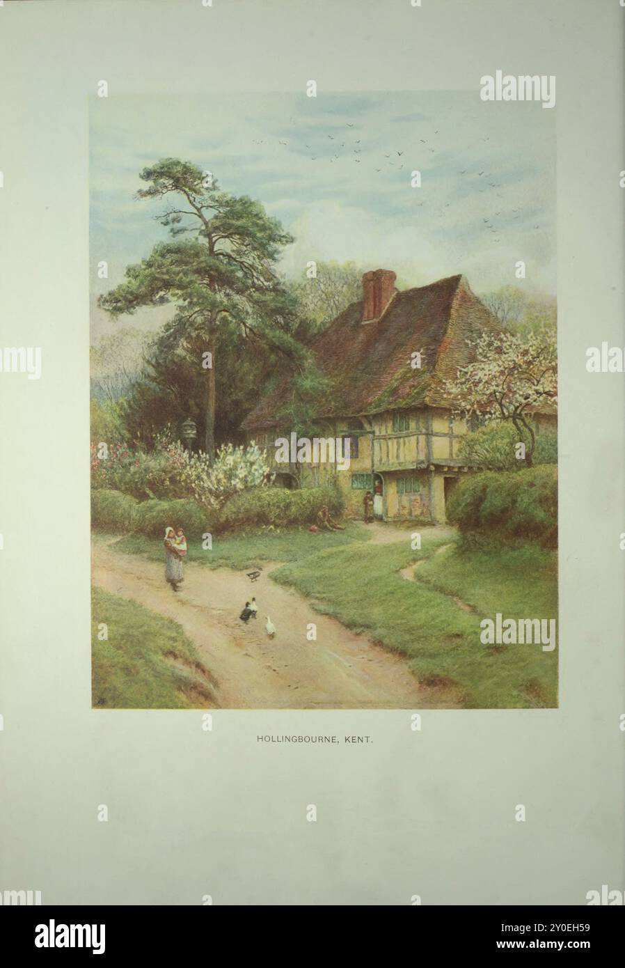 Old English country cottages. Vintage illustration of cottage at ...