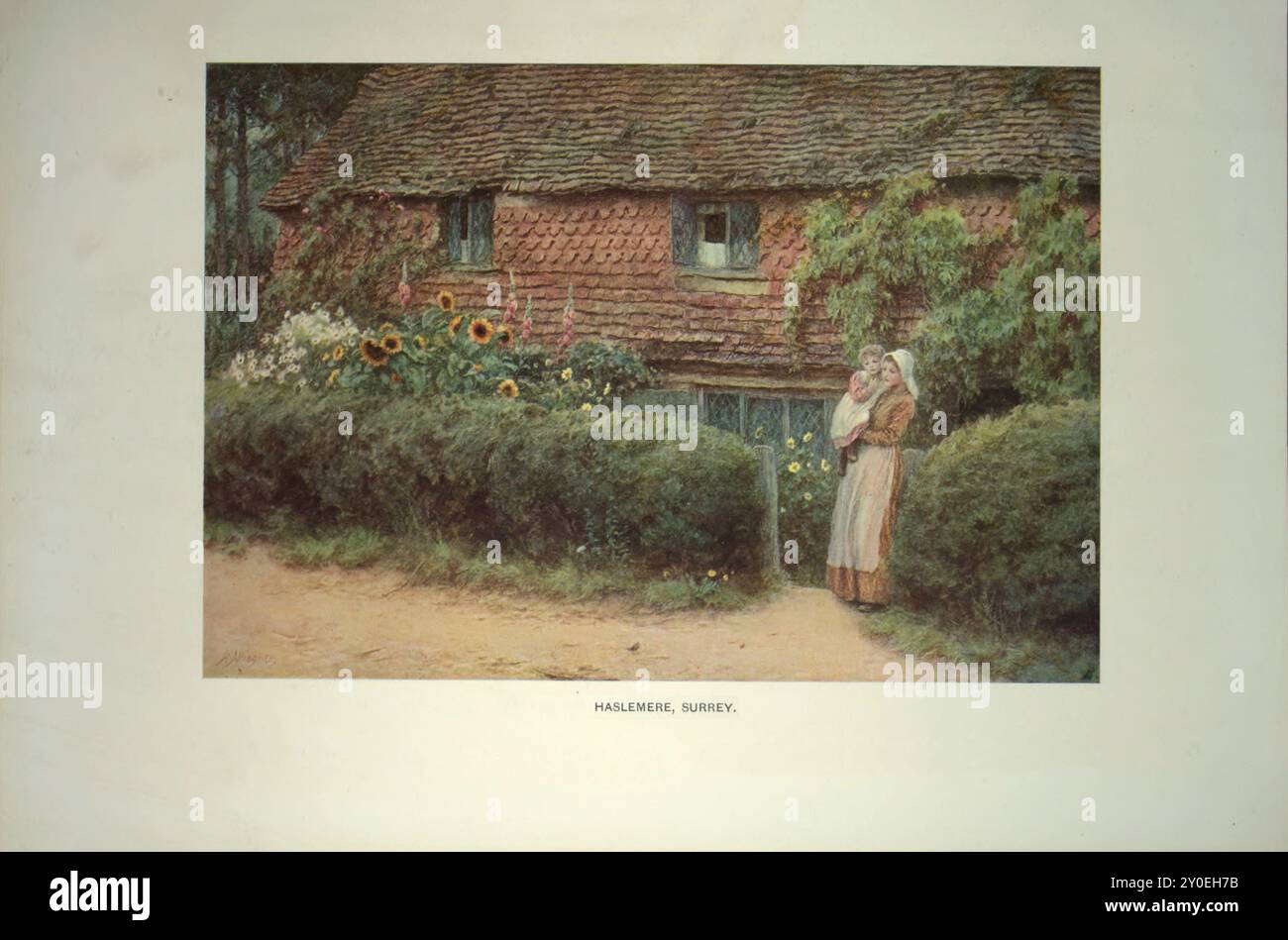 Old English country cottages. Vintage illustration of cottage at ...