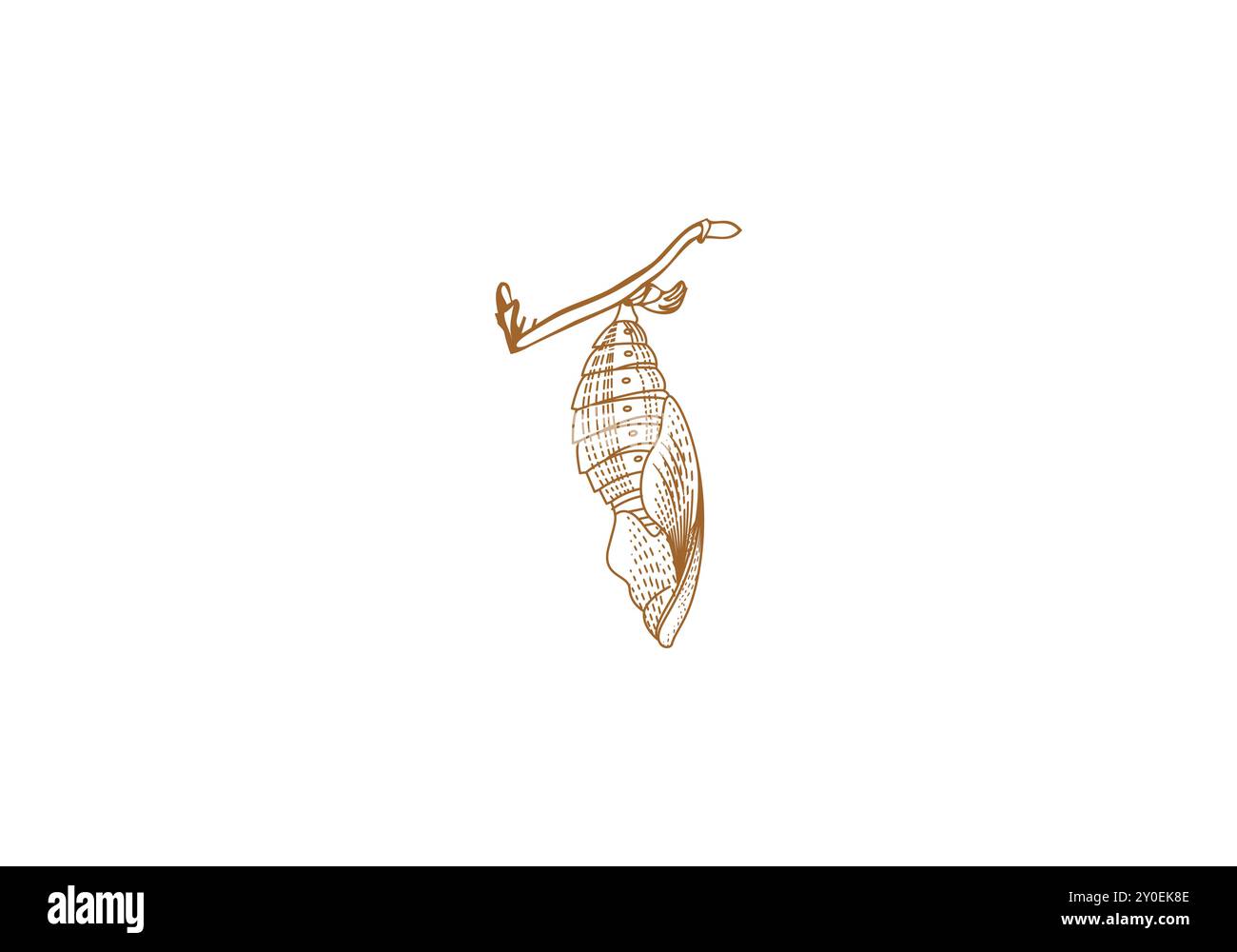 Logo detailed line chrysalis and branch. Old vintage style logo ...