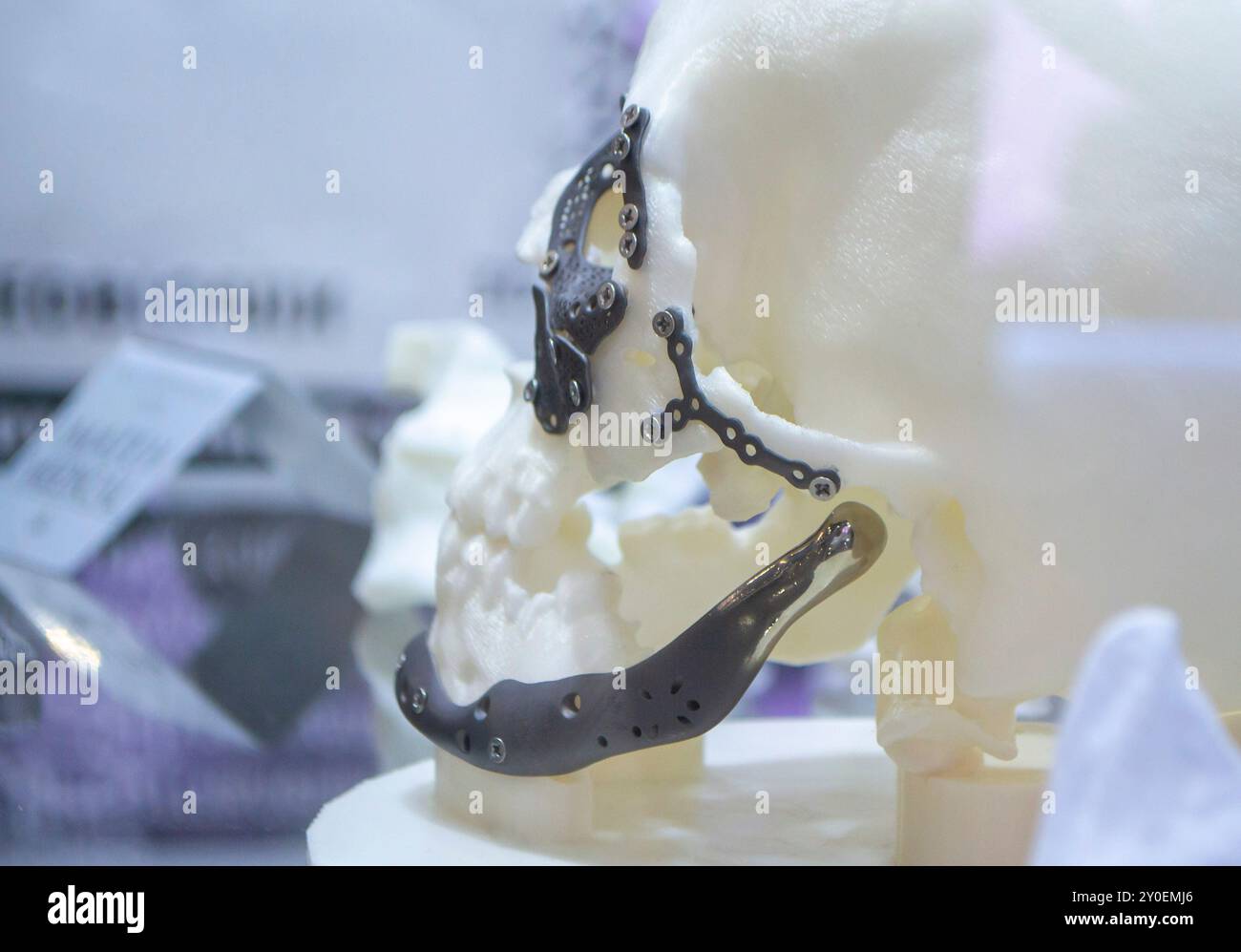 Skull white hi-res stock photography and images - Alamy