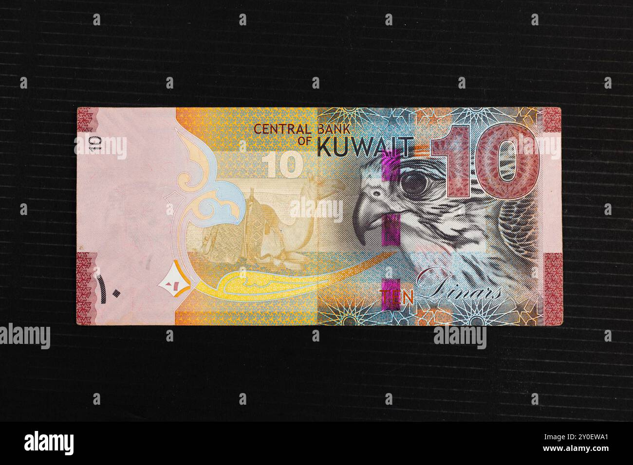 Kuwait 10 dinar banknote featuring falcon and camel dressed in a sadu ...