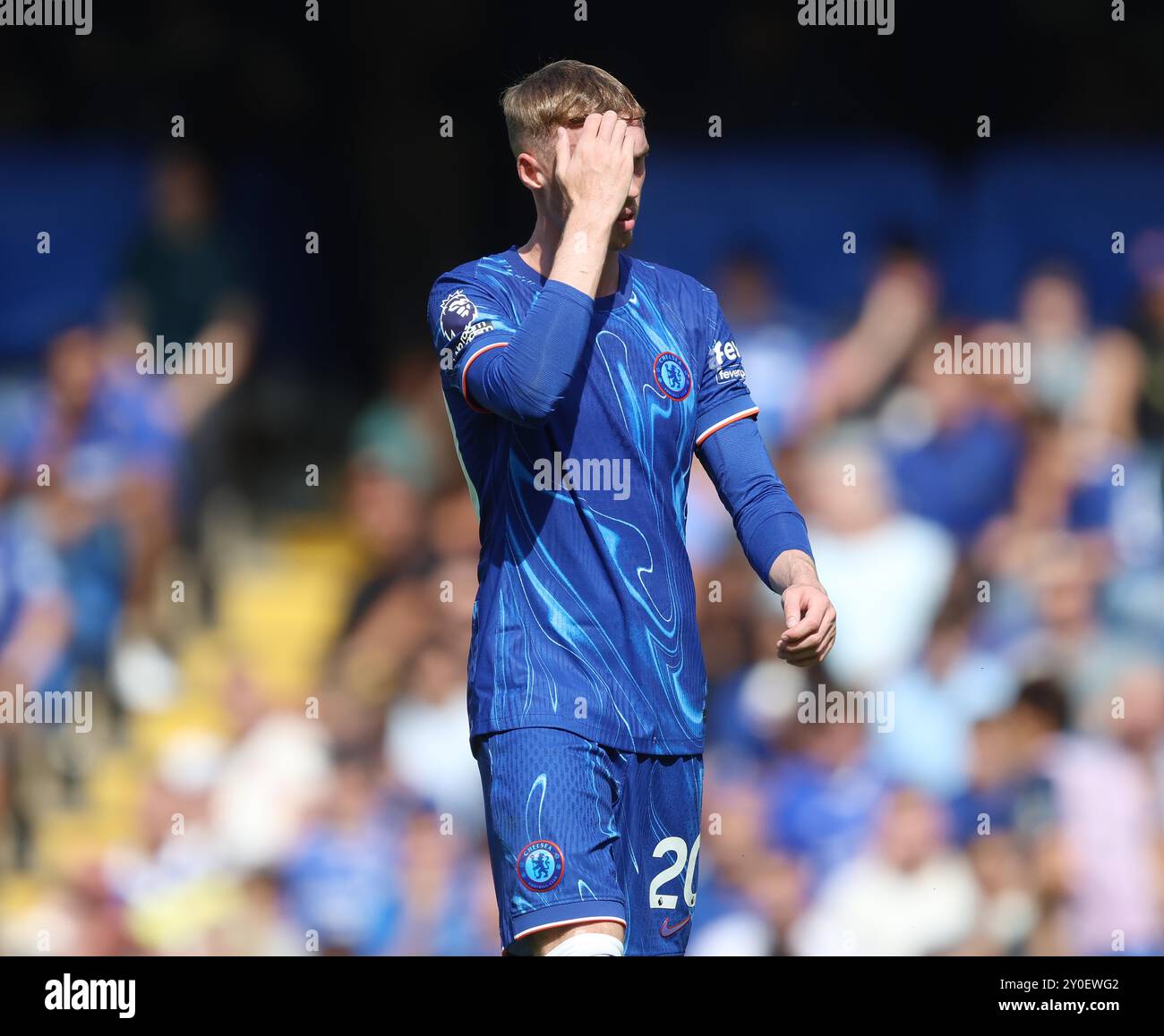 Cole Palmer of Chelsea looks disappointed & dejected. - Chelsea v ...