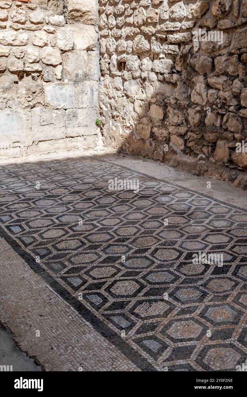 Ancient Roman mosaics at the Historical Complex of the Palace of ...