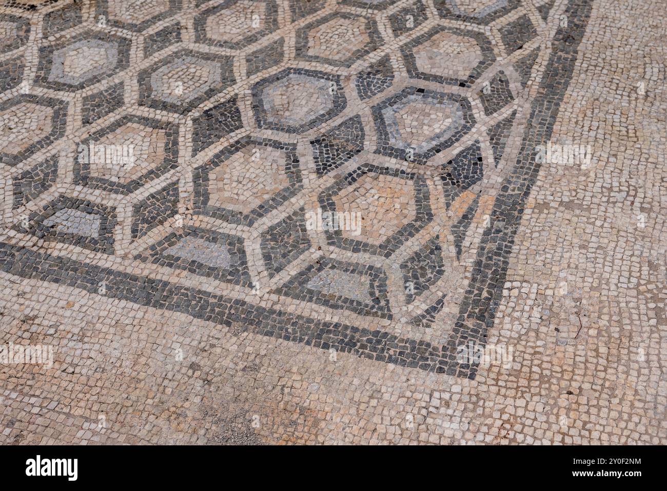 Ancient Roman mosaics at the Historical Complex of the Palace of ...
