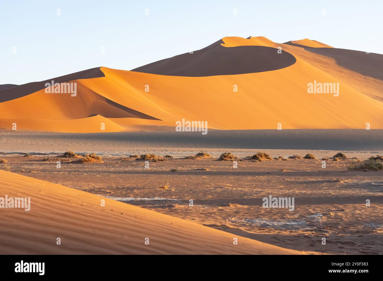 Deadvlei in Namibia is the site of 800 year-old skeleton trees Stock ...