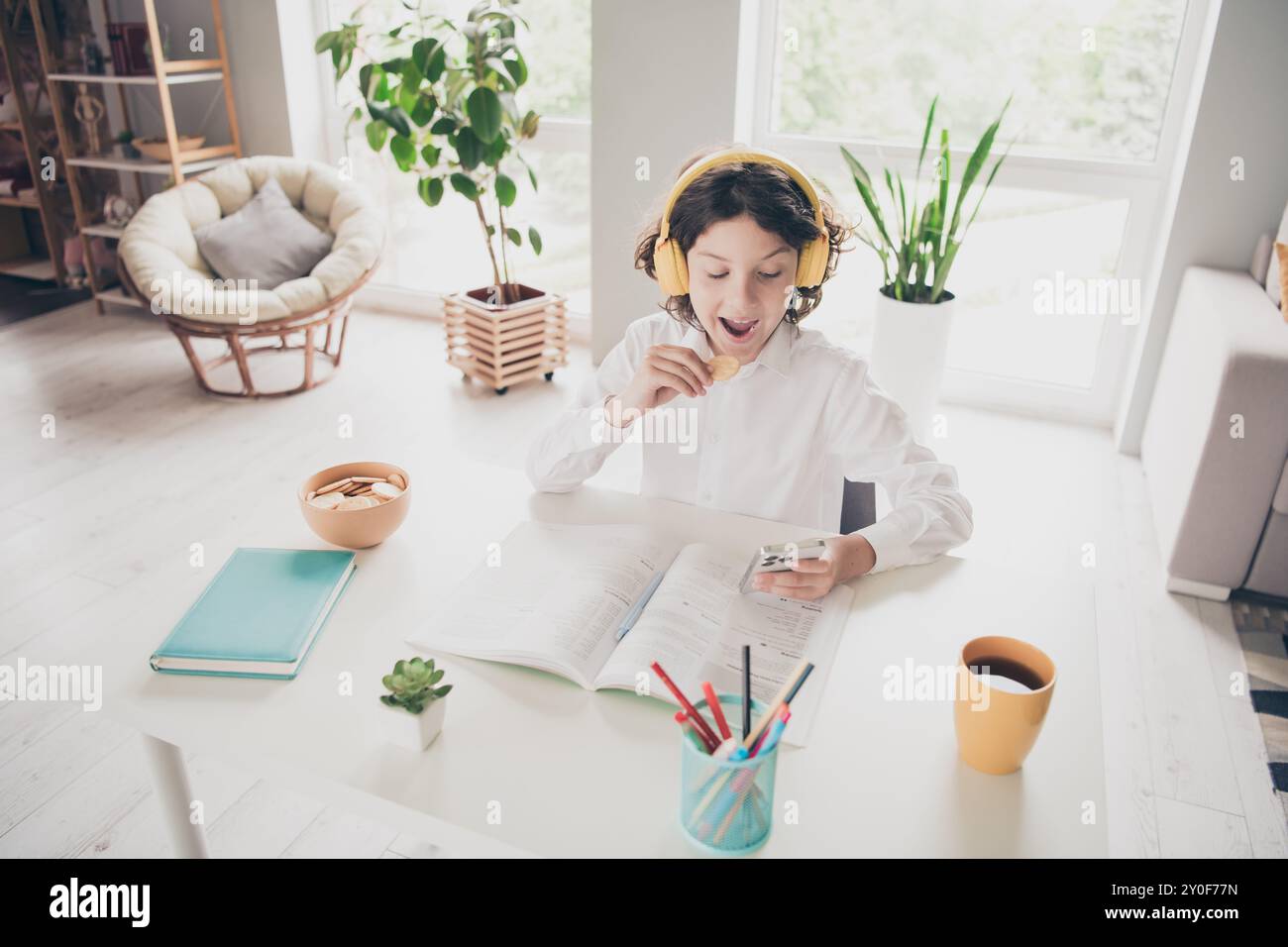Photo of clever cute little boy schoolkid wearing white shirt learning ...