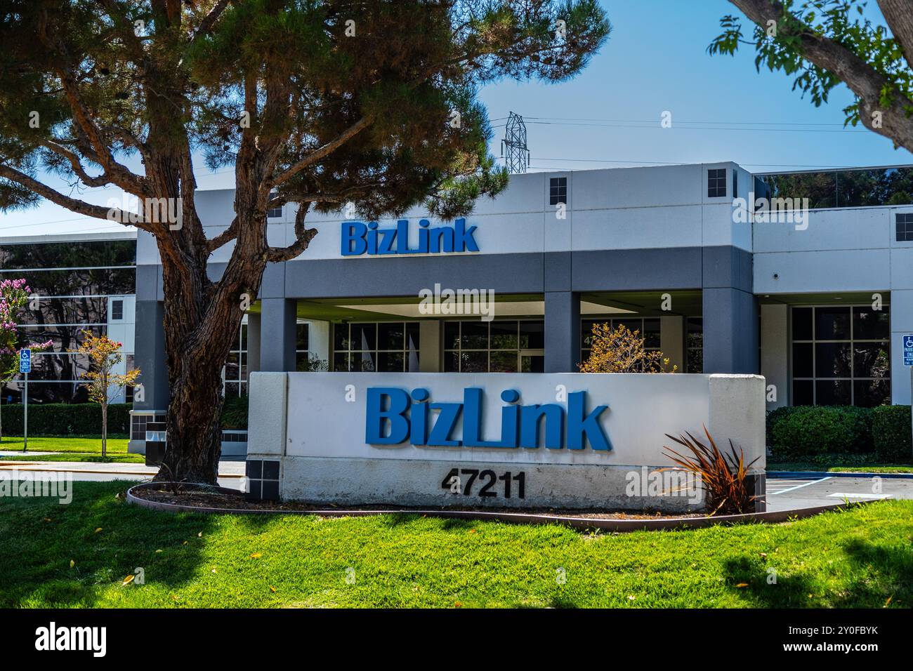 Bizlink group hi-res stock photography and images - Alamy