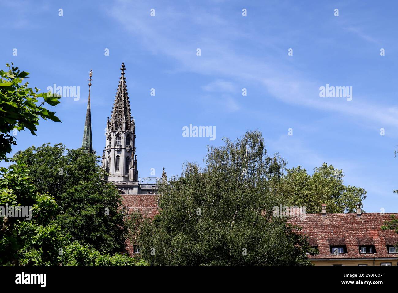 Minster in Konstanz, Lake Constance in Germany in summertime Stock ...
