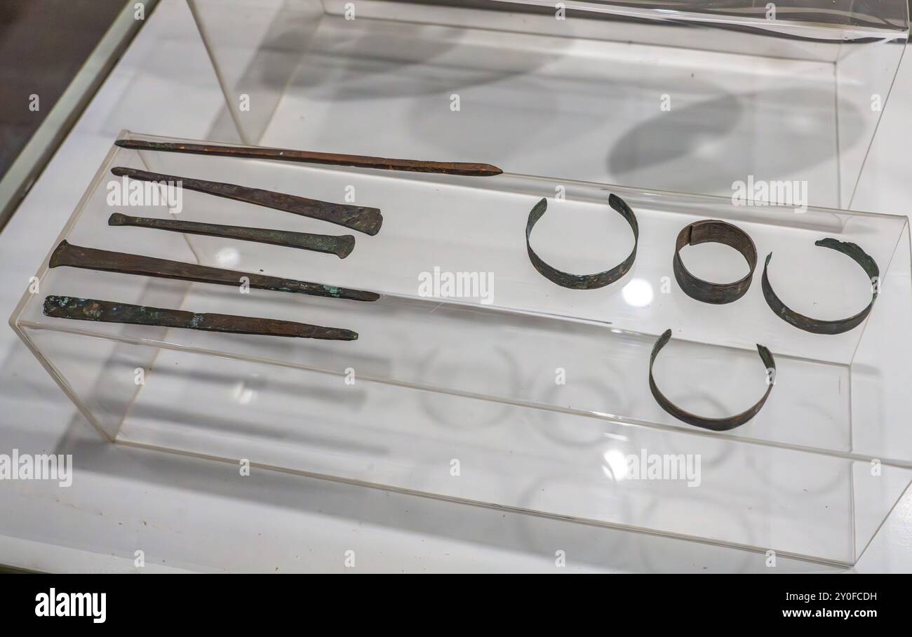 Pre-Hispanic Amerindian metal artifacts in the Pio Pablo Diaz ...