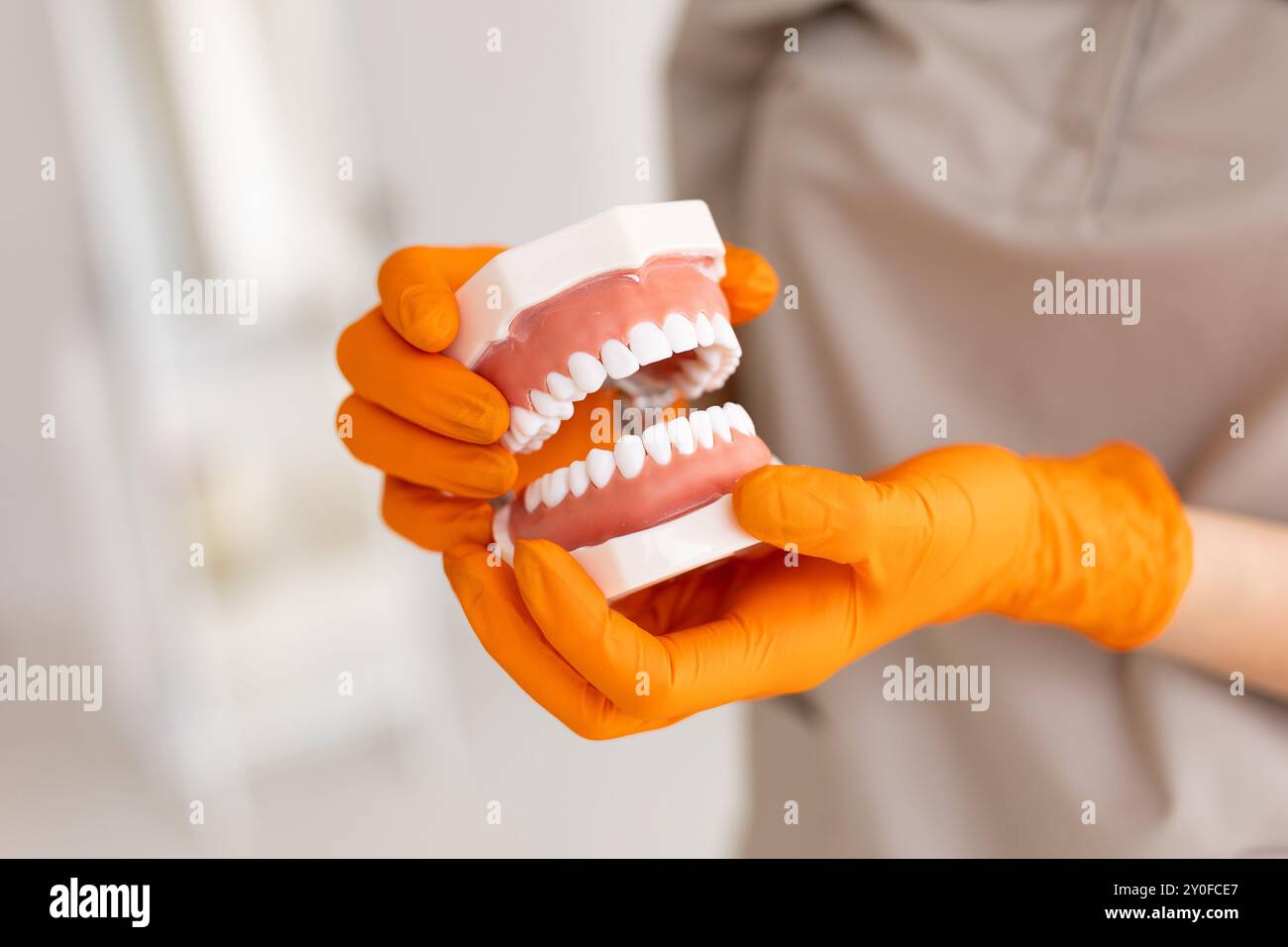 Dentist holding dentures in hands. Dental prosthesis in doctor hands ...