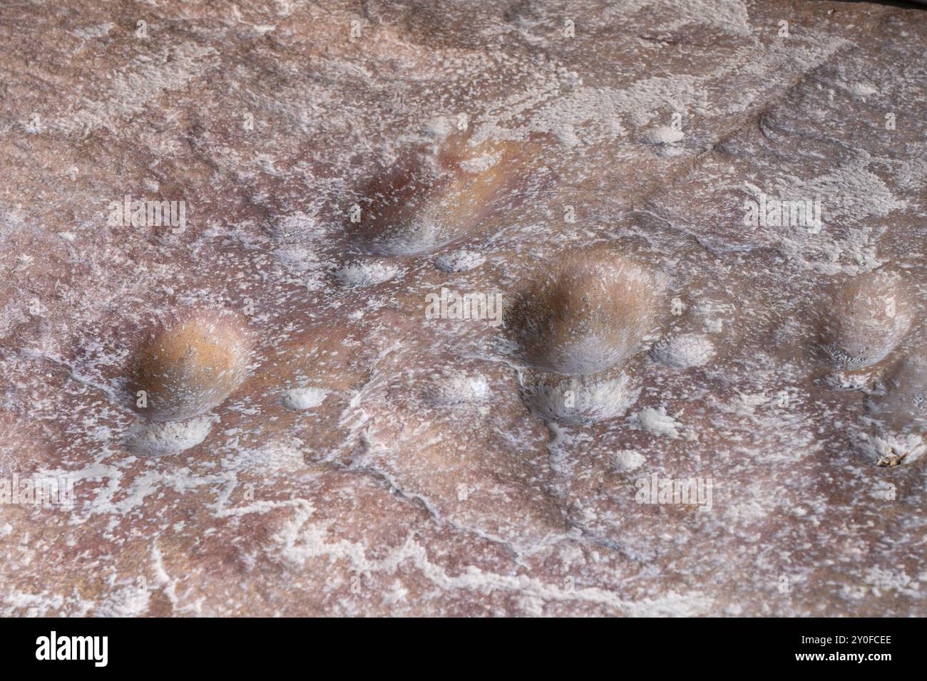 Depressions worn in the sandstone from grinding grains with another ...