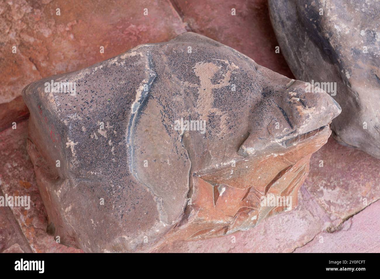 Pre-Hispanic Amerindian rock art petroglyphs on a stone in the Pio ...