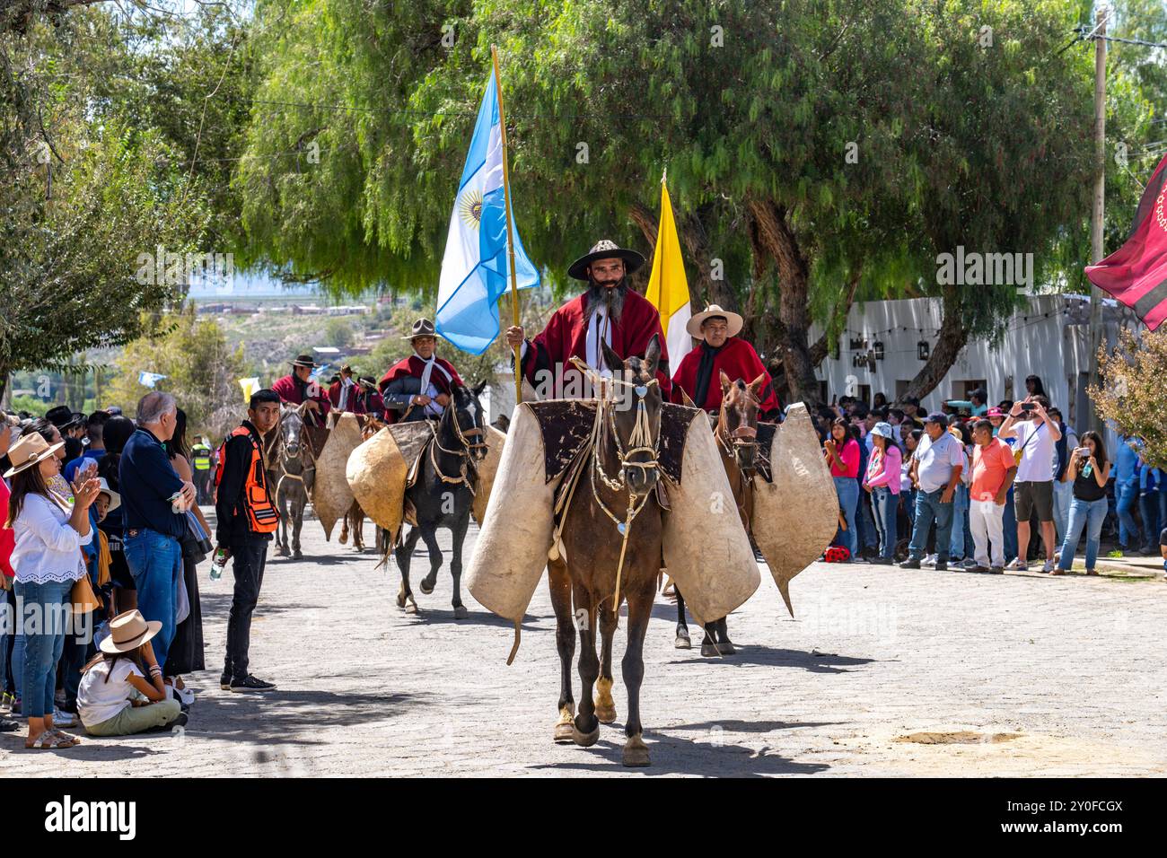 A bearded gaucho in traditional outfit carries an Argentine flag riding ...