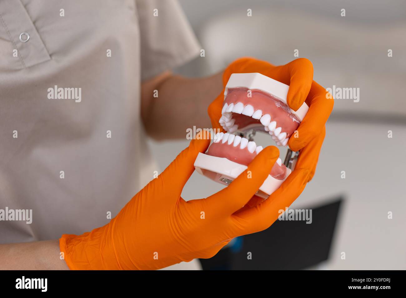 Dentist holding dentures in hands. Dental prosthesis in doctor hands. Dentistry photo ...