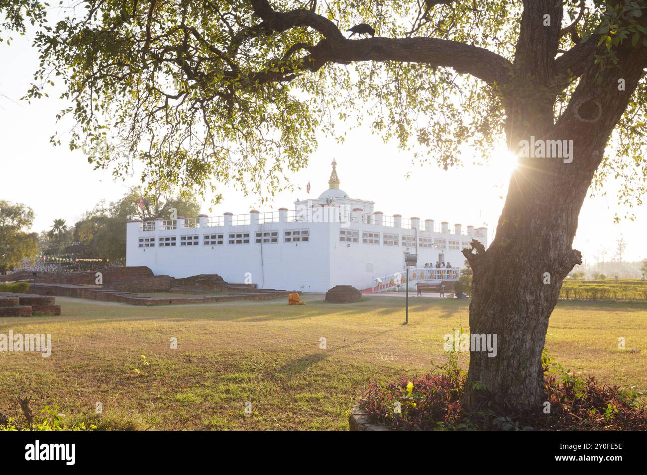 Maya Devi temple, Lumbini, Nepal Stock Photo - Alamy