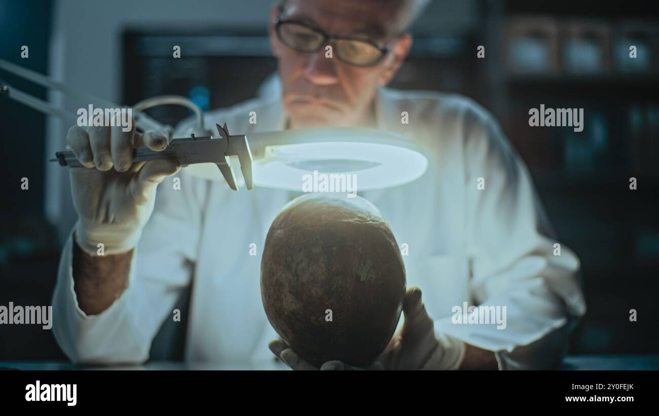 Senior archaeologist takes measurements of fossil skull using ...