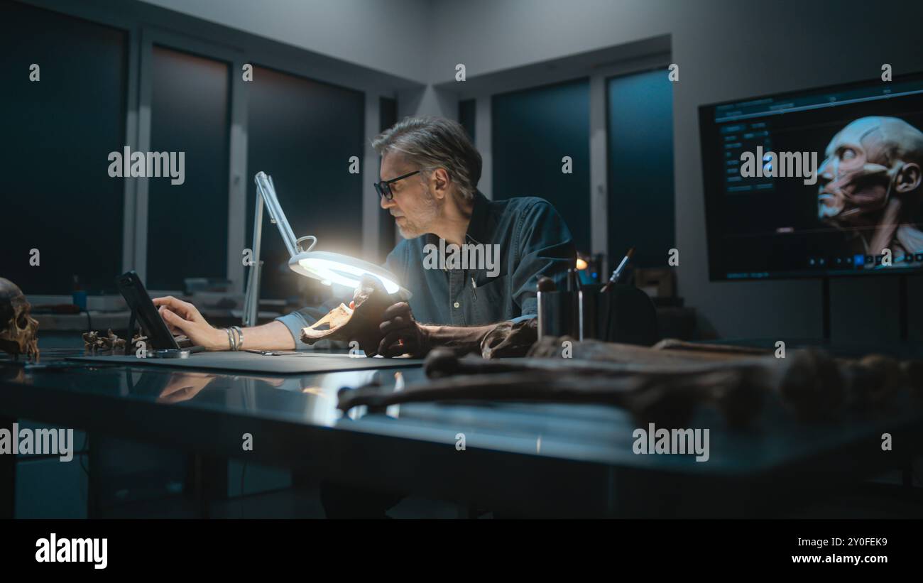 Archaeologist takes measurements of fossil bone under lamp, uses tablet ...