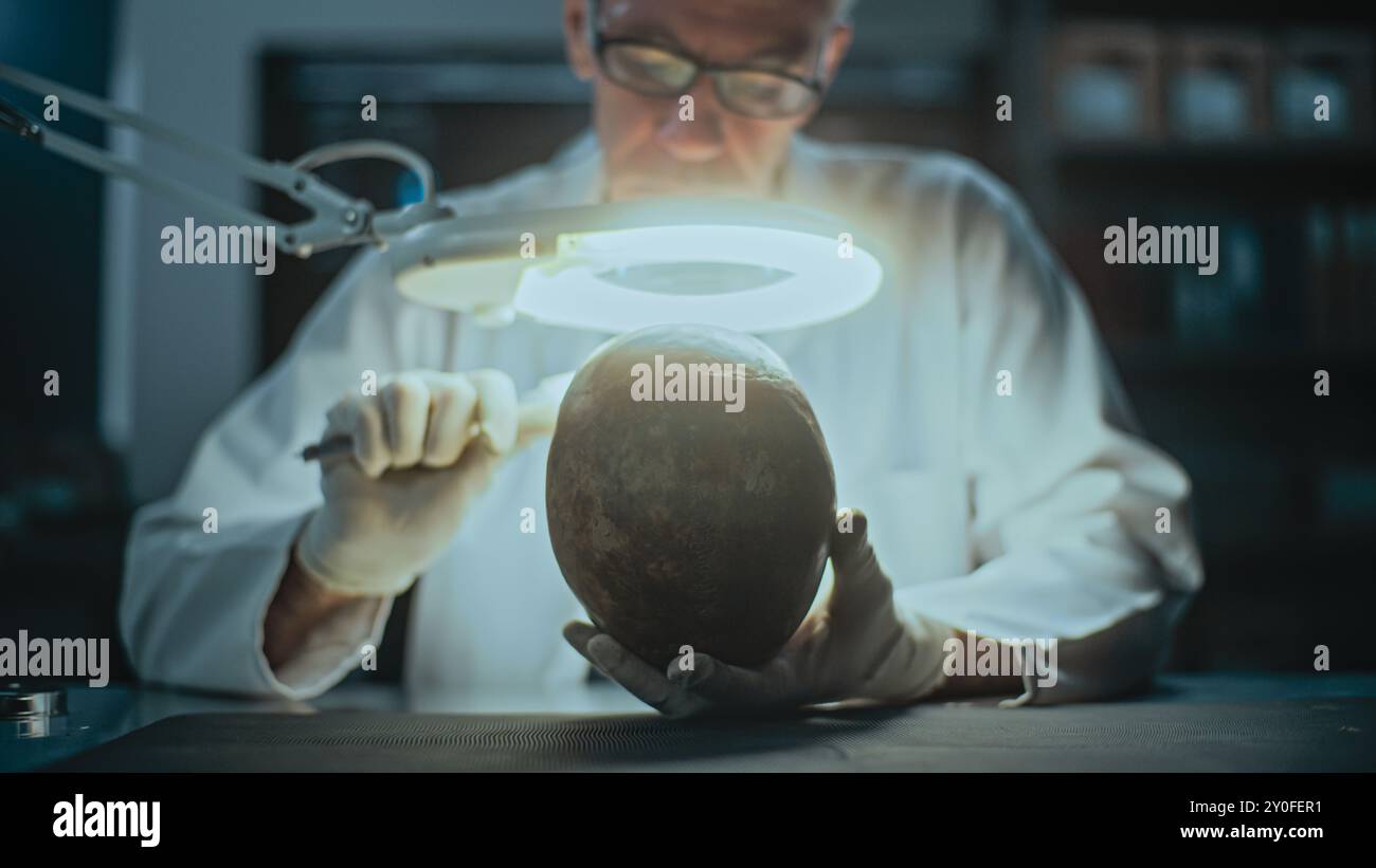 Senior archaeologist takes measurements of fossil skull using ...