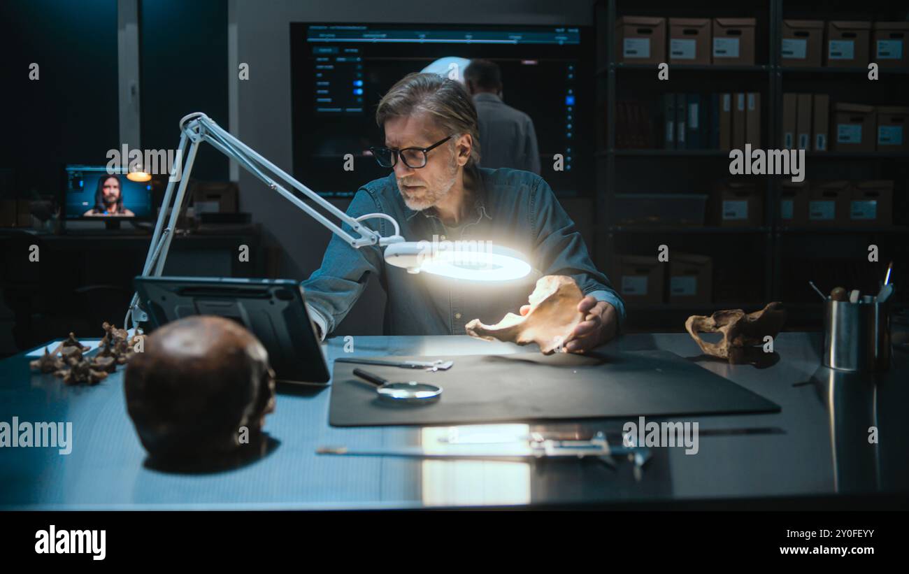 Mature archaeologist measures fossil hi-res stock photography and ...