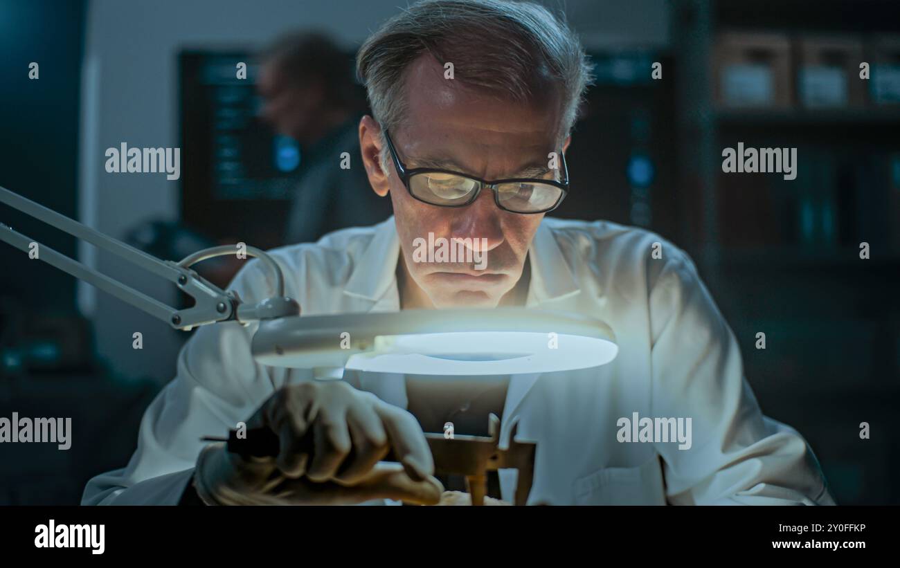 Senior archaeologist takes measurements of fossil skull using ...