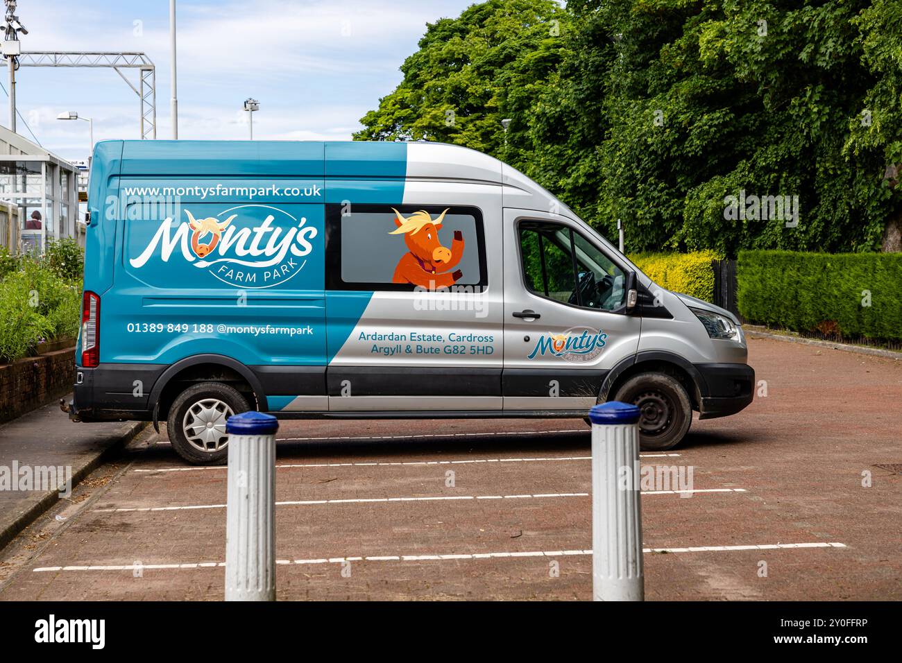 colorful van is parked-up and features a cartoon highland cow and the ...