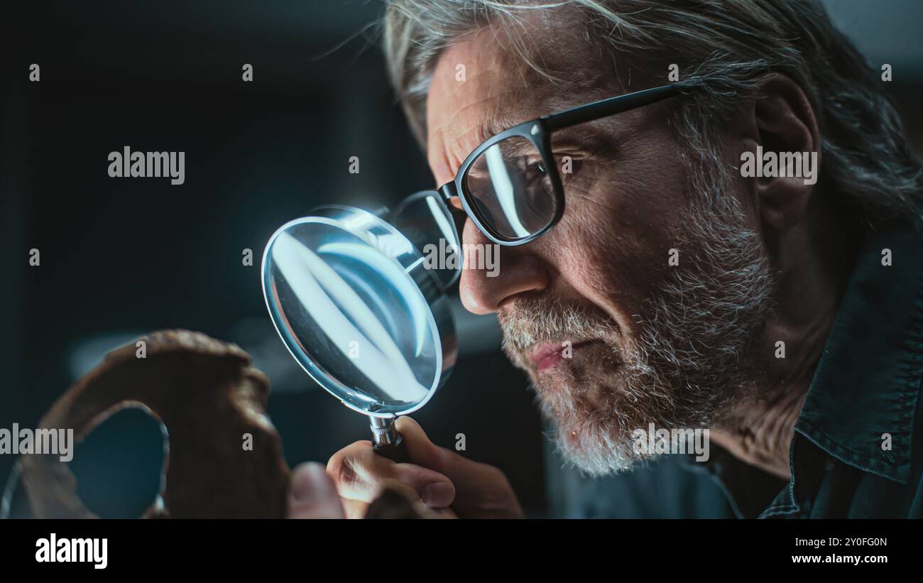 Mature archaeologist examines ancient extinct human or animal remains ...